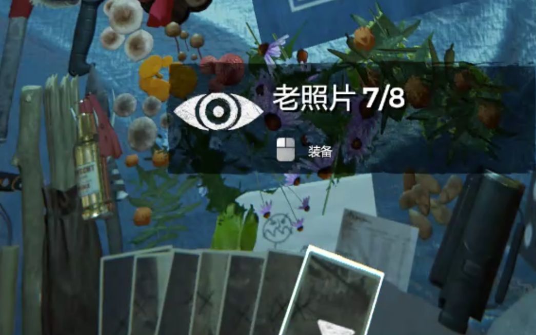 【森林】全收集-8张老照片