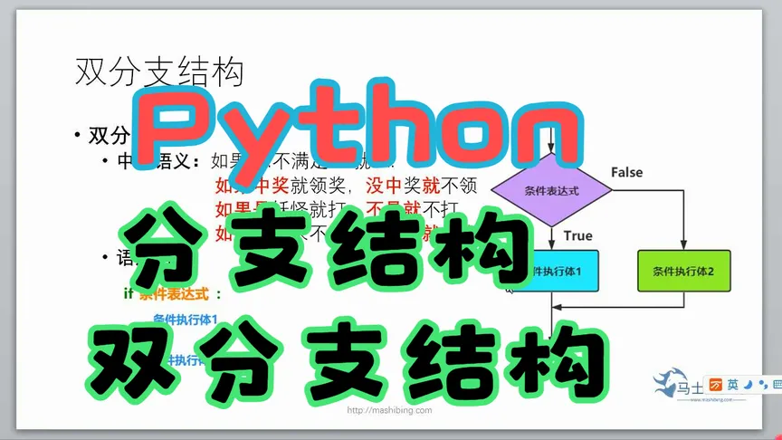 Python全套教程,基础中的分支结构_双分支结构详细讲解和使用