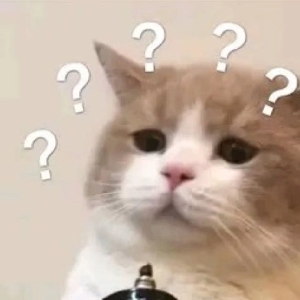 学不会俄语的阿文 