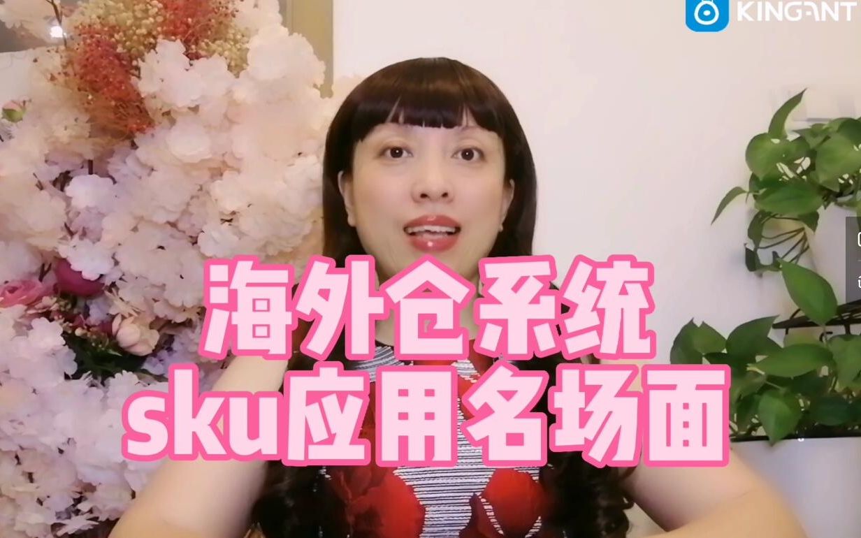 海外仓系统SKU应用名场面~金蚁