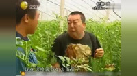 三农:农村像炮筒一样的农药机,利用航天原理,农药瞬间雾化出去!
