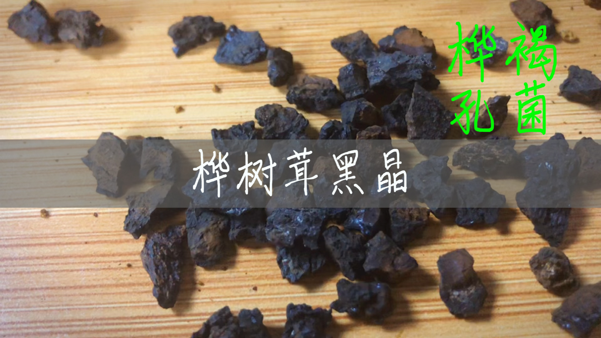 桦树茸黑金到底是什么,萃取精华好还是原皮更健康,让你瞬间秒懂