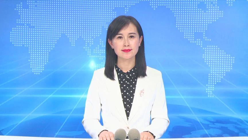 子长市人大督办市一届人大一次会议代表建议办理情况