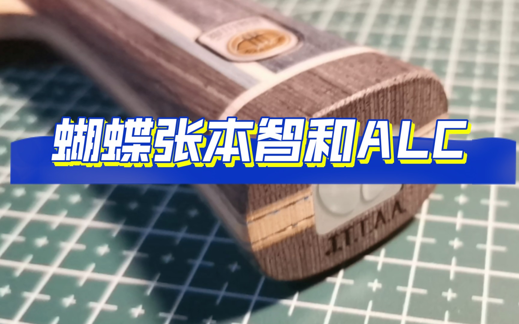 [球板评测]张本智和alc+DNApro+G09c