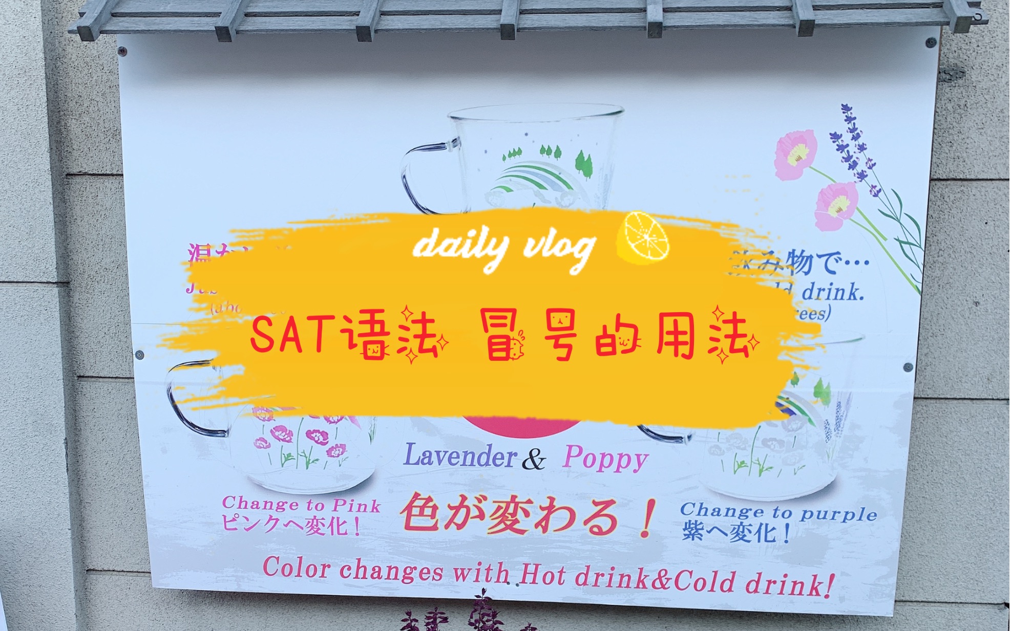 SAT语法 冒号的用法