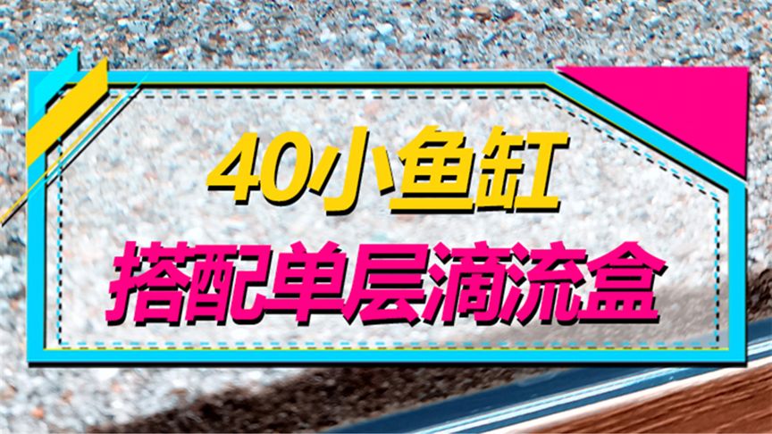 40小鱼缸大混养,过滤器都有哪些?该如何选择呢?