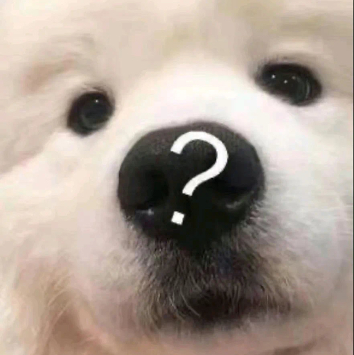 阿九别吃了 