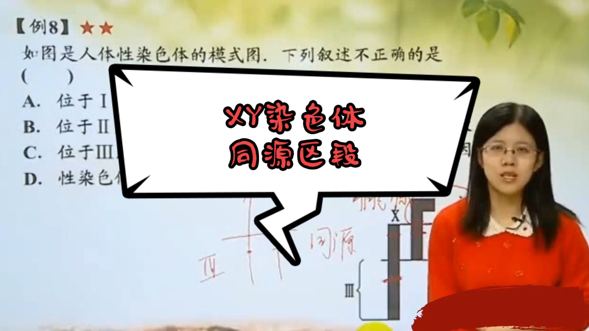 〖XY染色体同源区段〗C. 位于Ⅲ区的致病基因,在体细胞中也可能有...