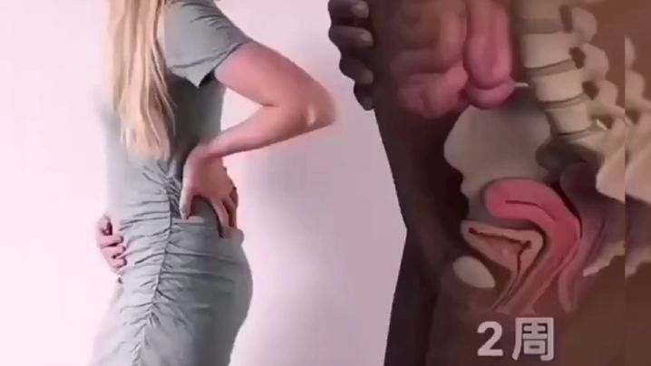 胎儿从怀孕到出生在肚子的变化