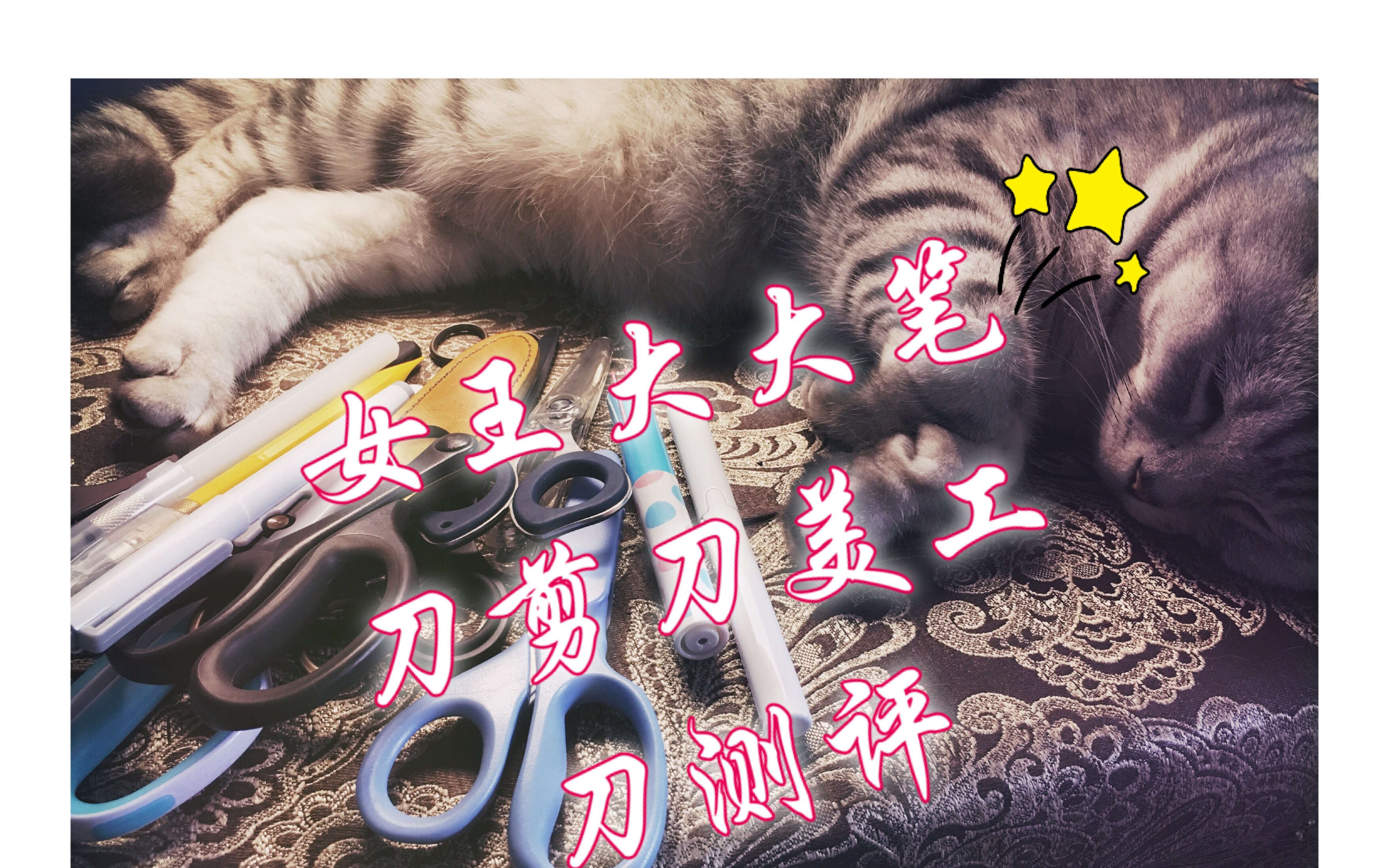 【女王大大】各种笔刀剪刀美工刀测评