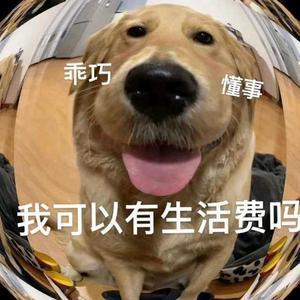 金毛爱骨头呀