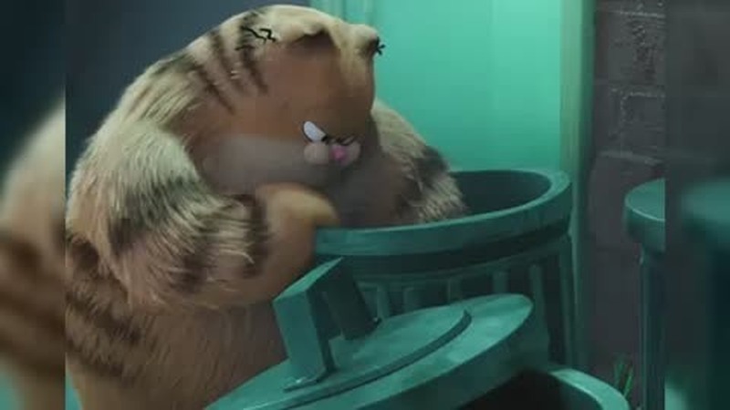 看最幼稚的动画明白最深的道理治愈动画加菲猫