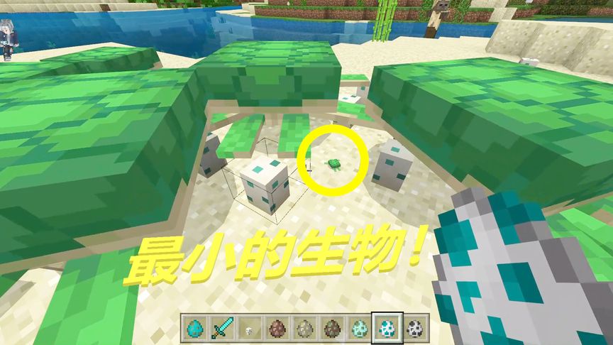 我的世界海洋版:MC中最小的生物诞生,比末影螨还小!