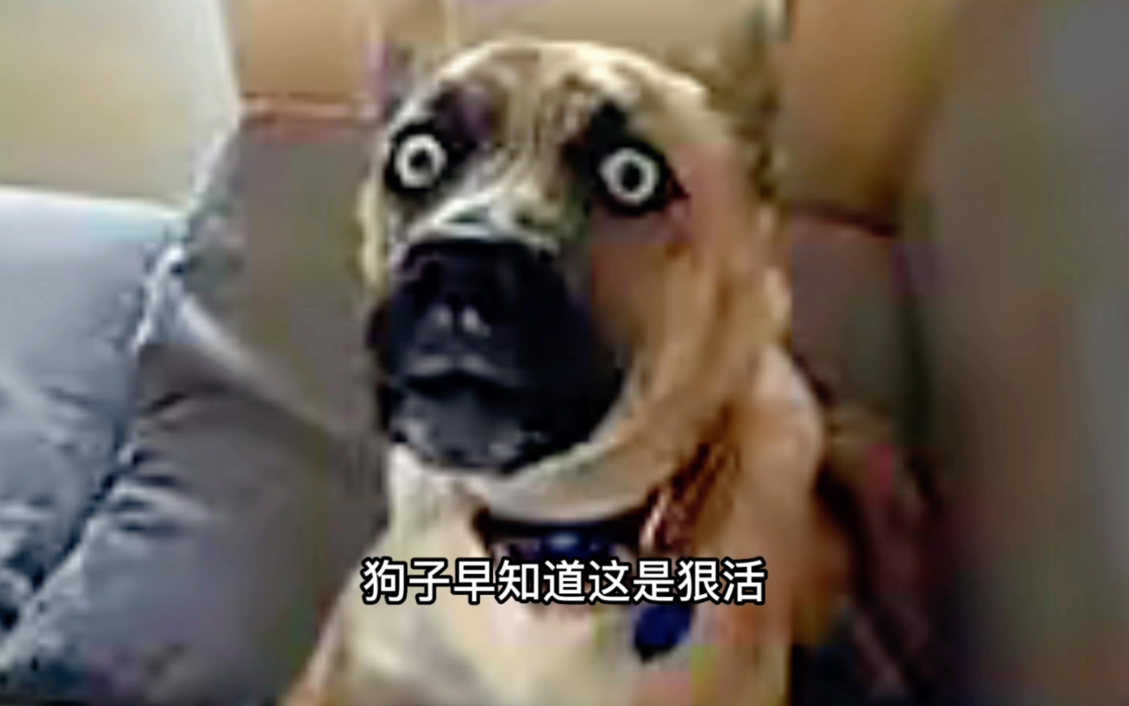 这些科技与狠活吃了会怎么样呢?细思极恐
