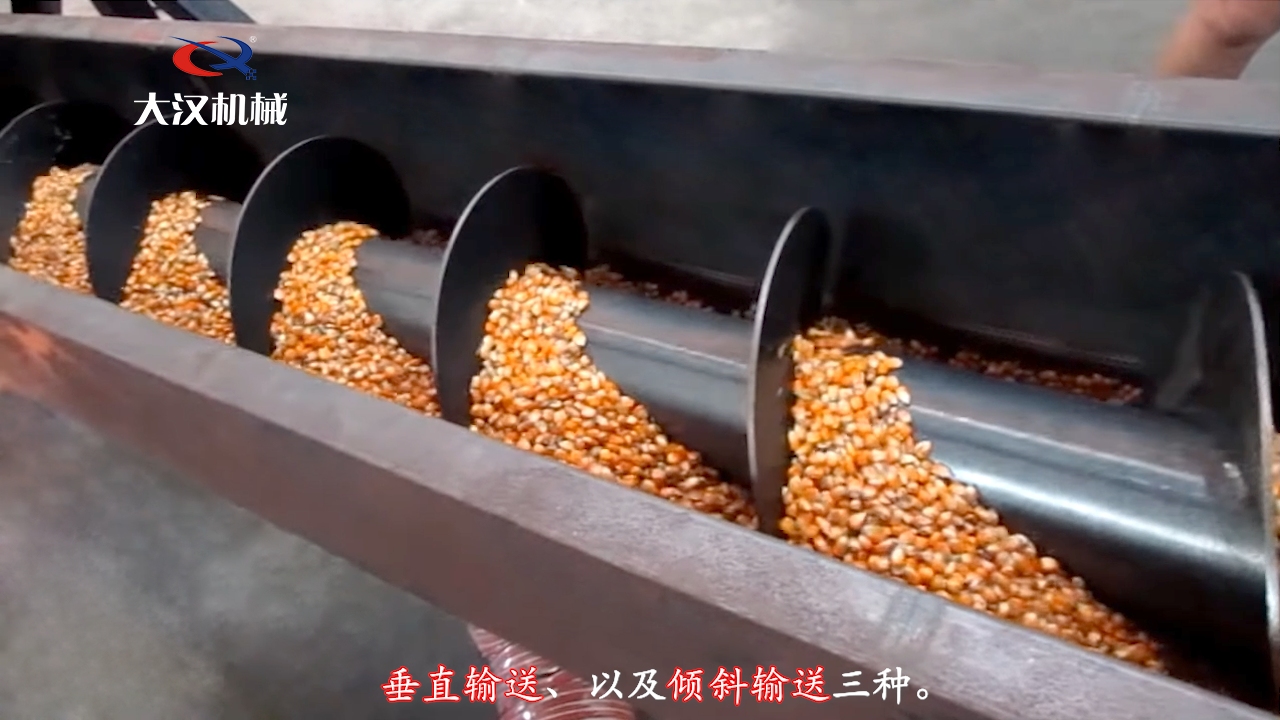 绞龙螺旋输送机输送玉米现场