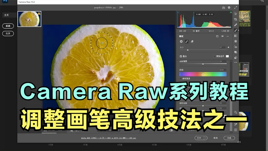 Camera Raw系列教程,ACR调整画笔的功能,调整画笔高级技法之一