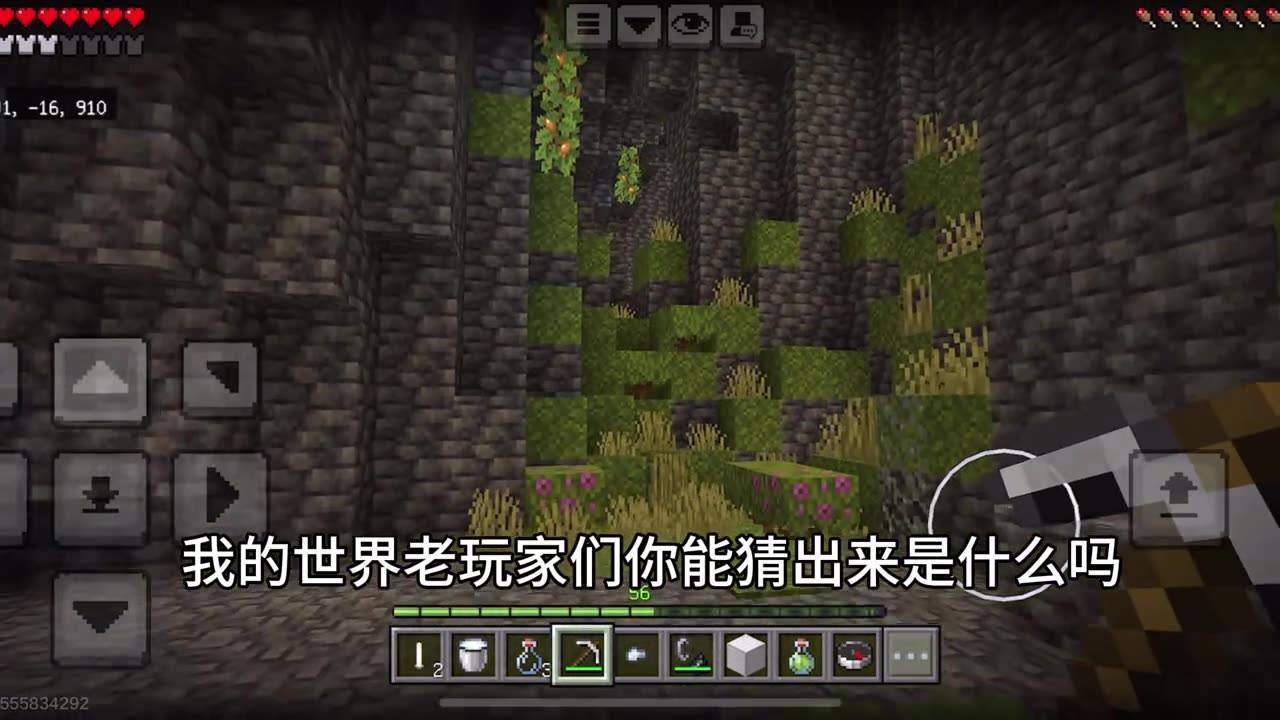 我的世界丨猜一猜