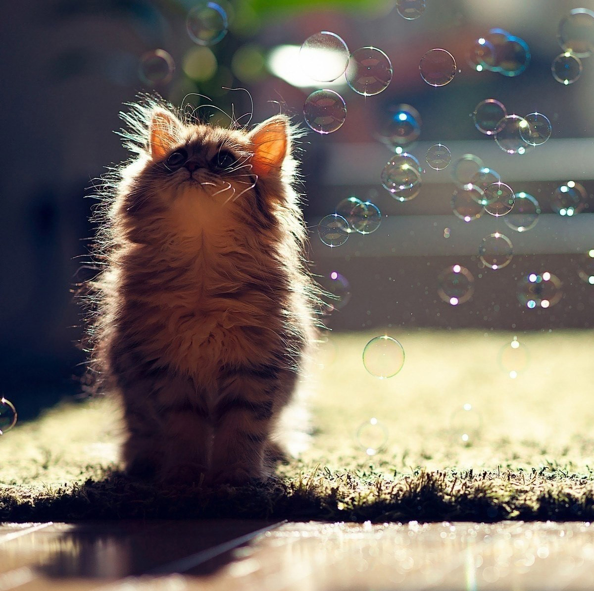 人工智能人话翻译官 