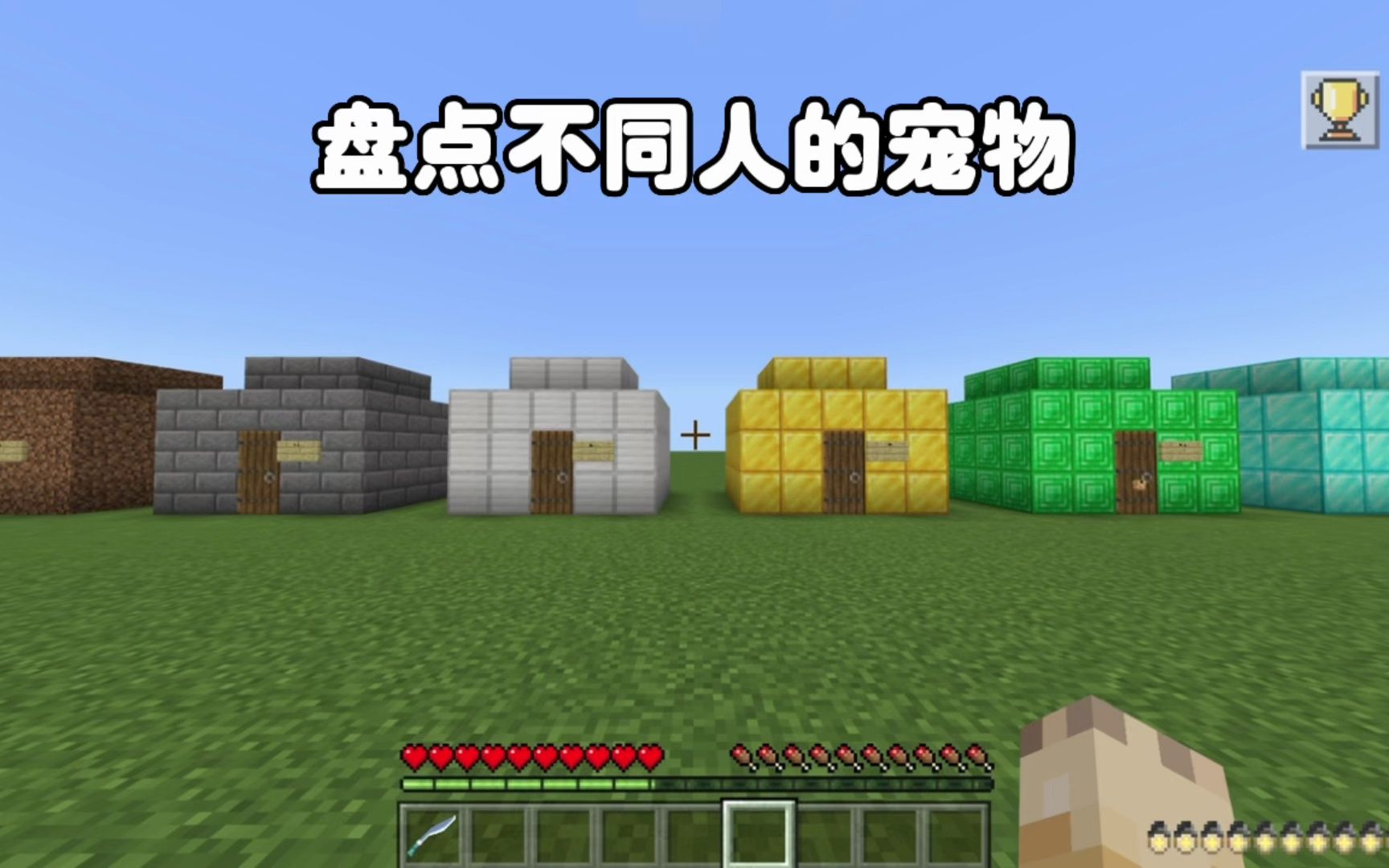 我的世界:盘点不同人的宠物