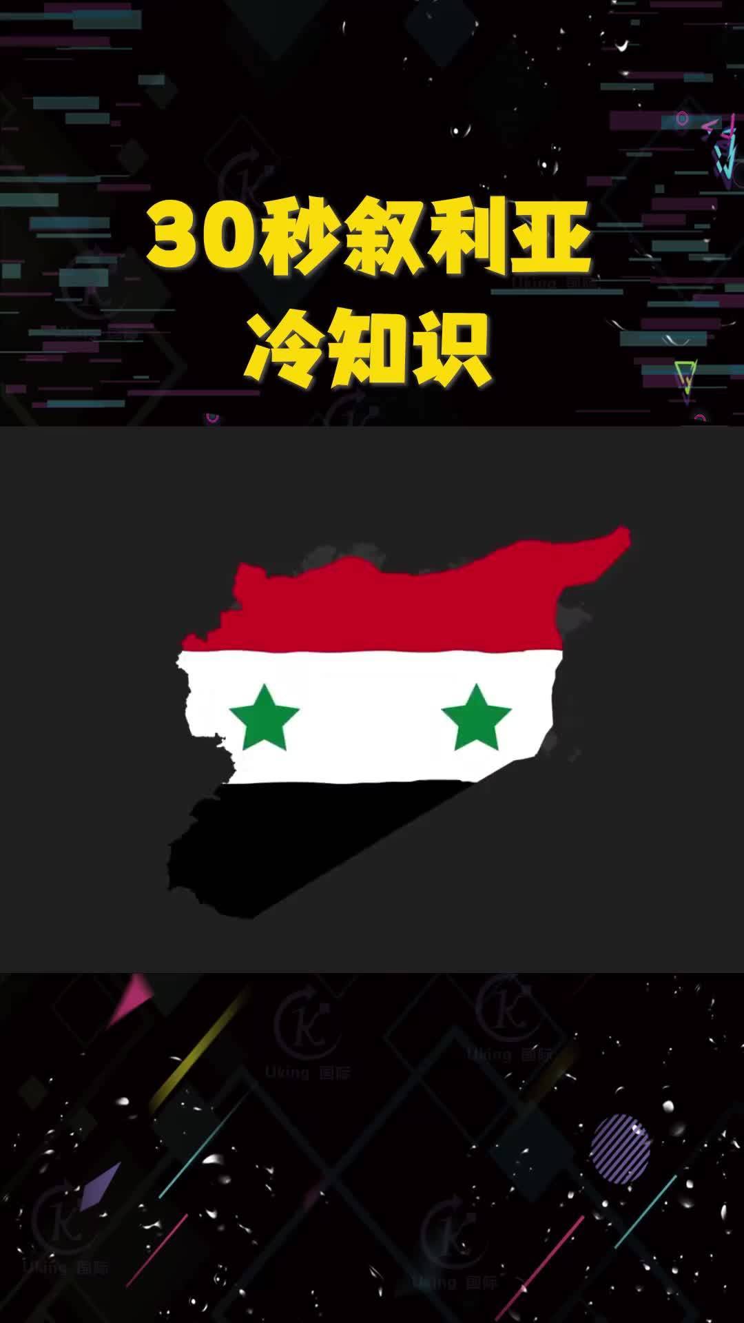 你不知道的叙利亚冷知识 各国 叙利