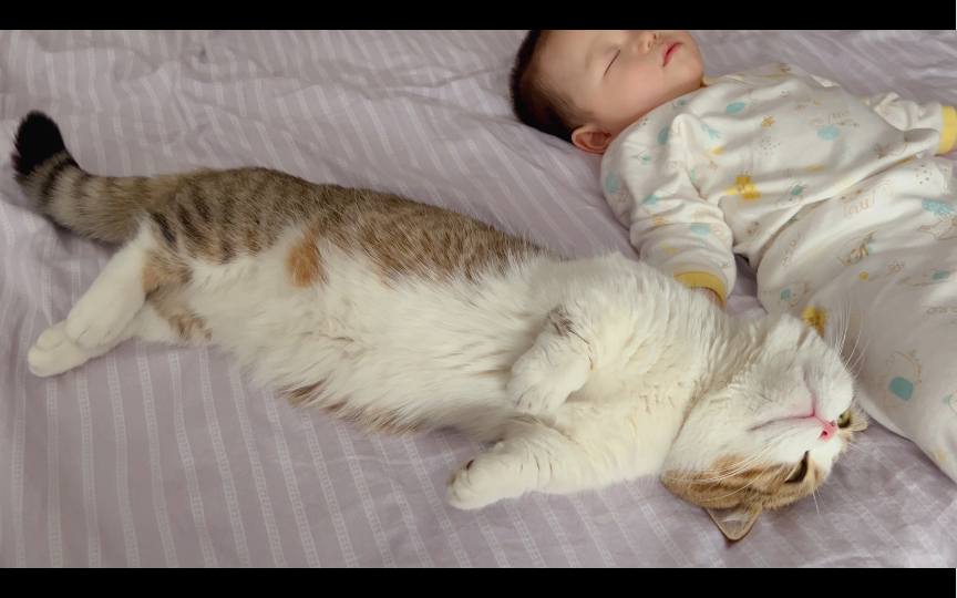 皮皮:孩子给你哄好了 保姆费结一下