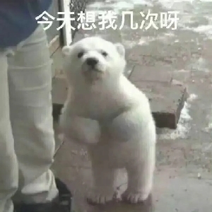 一骨朵蒜 