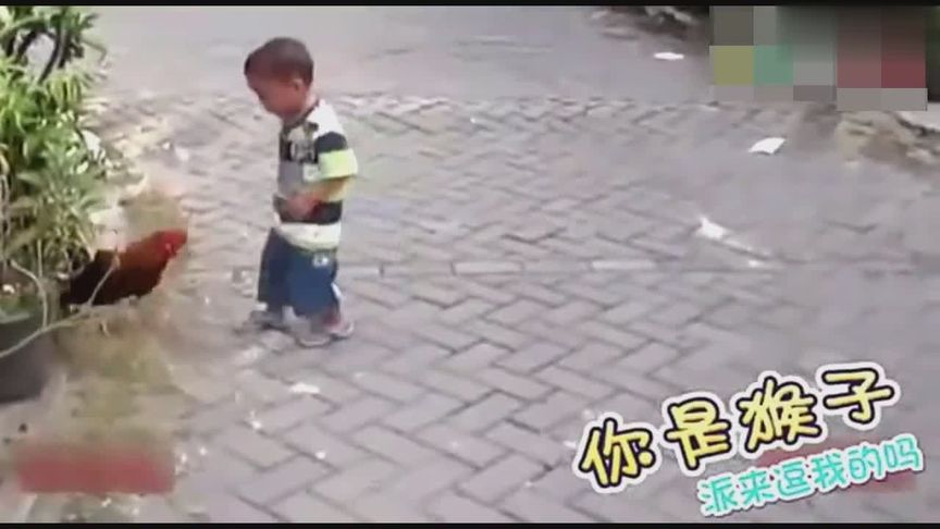 个小视频,不作不会死,够你笑8天