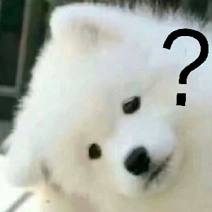 本体是萨摩耶的稻子 