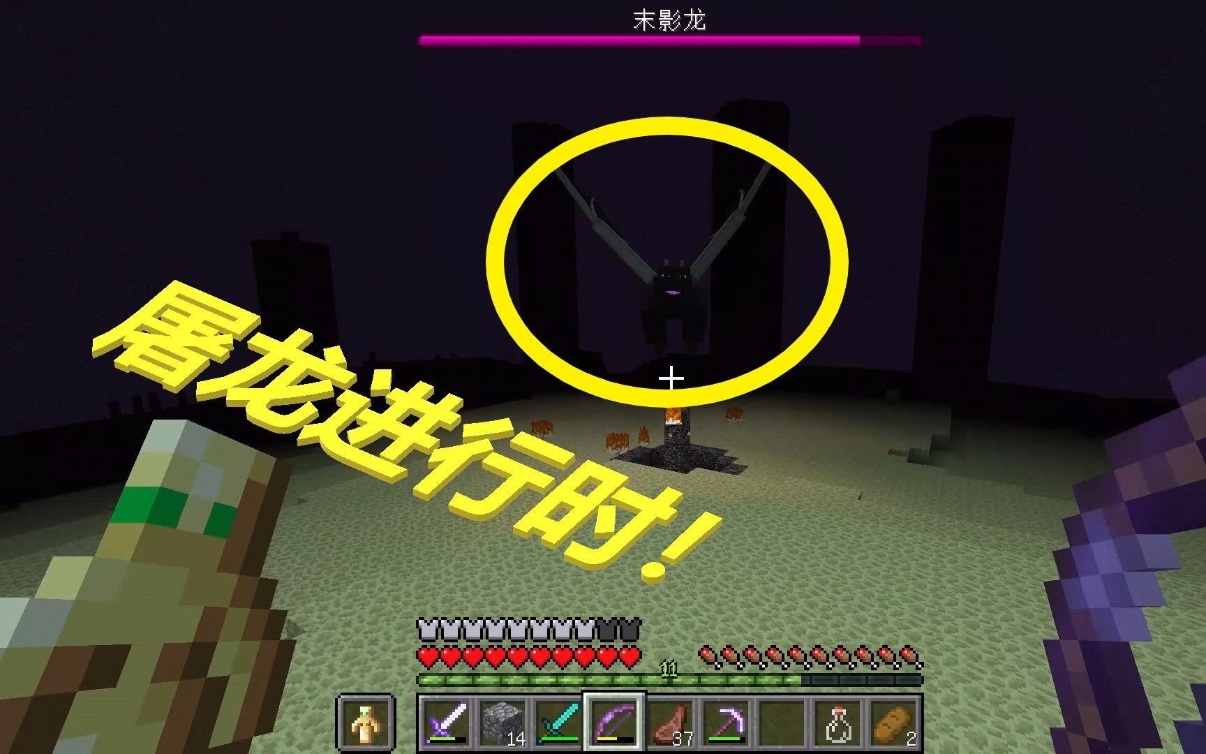 我的世界:解放末地获得的大量经验,得到了末影龙的灵魂