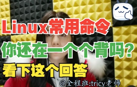 Linux常用的命令,你还在一个个背吗?看下这个回答
