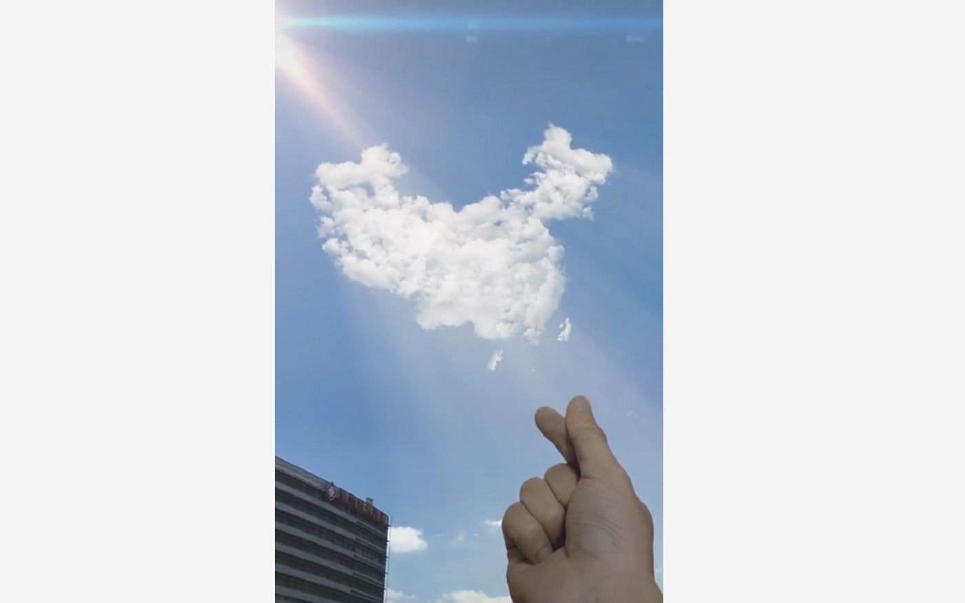 AE教程 短视频特效零基础系统教学