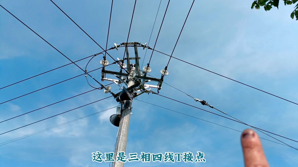 三相四线供电线路T接点,搭接导线最多的这根是零线吗?