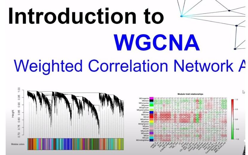 WGCNA极速入门, 功能富集分析, RNASeq分析, TCGA分析