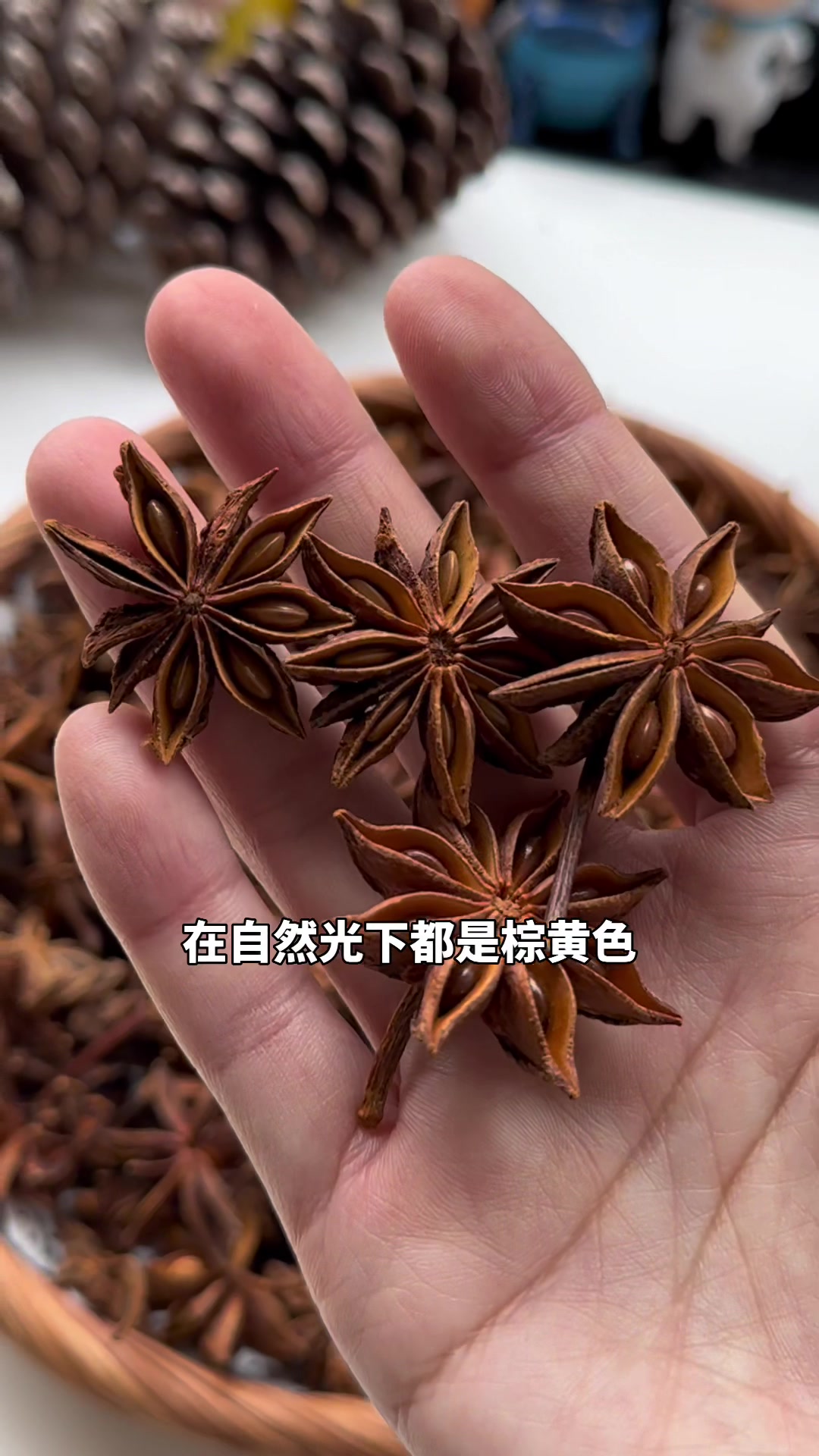 广西无硫#八角 #大料 新货!半斤到手10.87!比超市划算太多了!去腥味增...