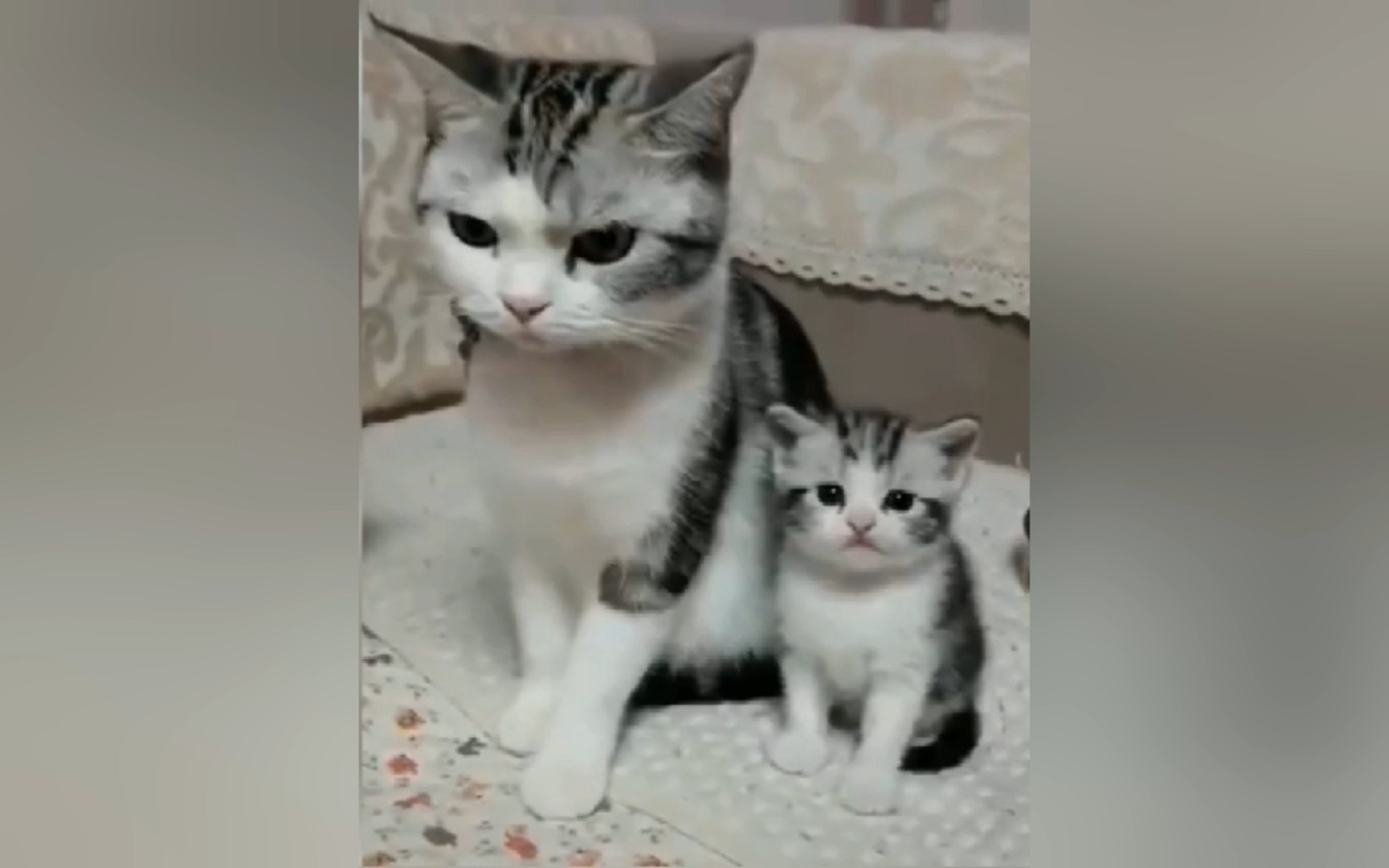 “生孩子不就是Ctrl C+Ctrl V吗?”