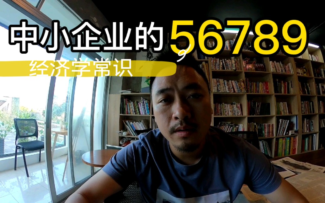 什么是中国中小企业的56789