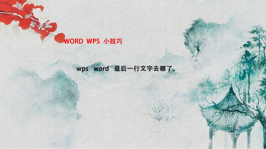 WPS WORD 最后一行文字去哪了?