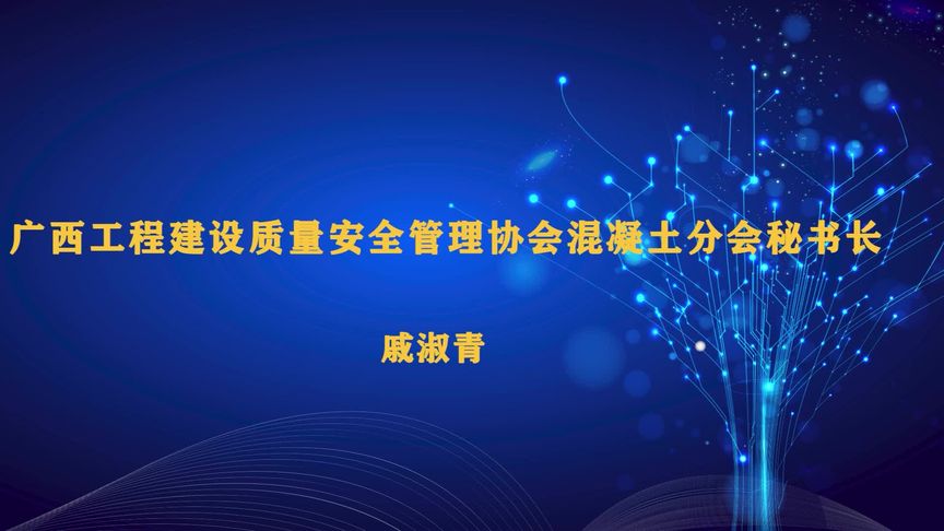 广西省工程建设质量安全管理协会混凝土分会秘书长戚淑青对长沙…