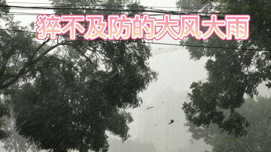 立秋的天,变换的云,秋雨冰雹+阴阳,何载何哉又何灾!