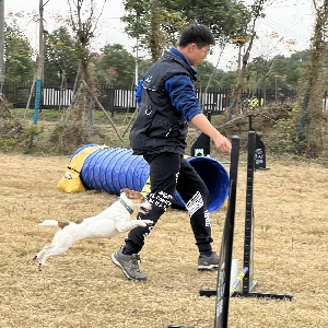 daemon爹是训狗的 