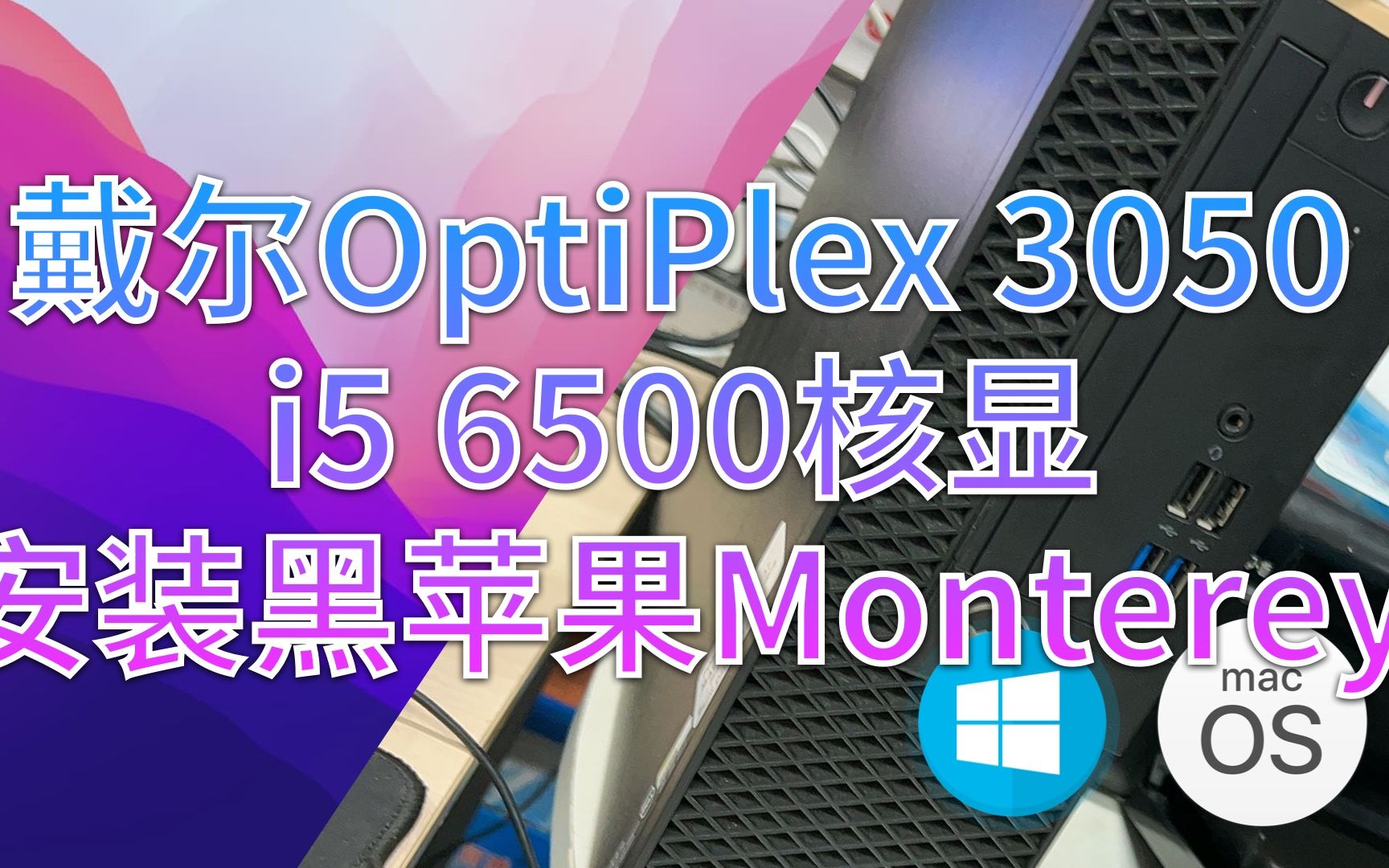 【老吴黑苹果】戴尔OptiPlex 3050 6代准系统小主机单核显(DP)安装黑...