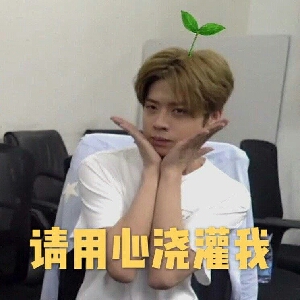 夫人去炸觉醒东方了 