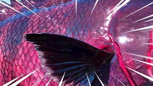 大海中捕获的种神生物,海洋深处充满未知