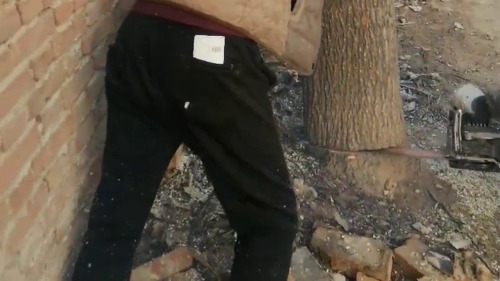 农村砍树方向要掌握好,不然倒下来砸坏别人房子,赔钱都不好交代!