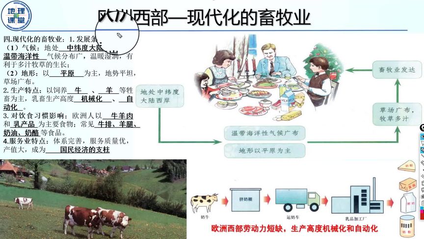 5、欧洲西部——发达的畜牧业及现代的服务业