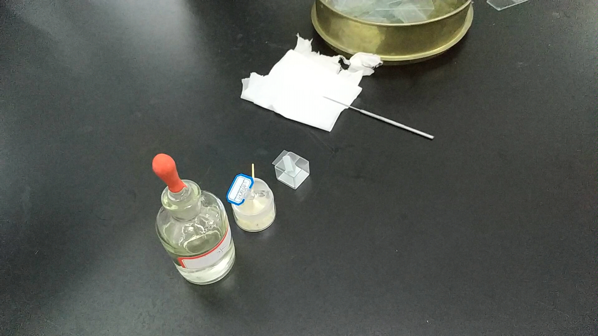 中药显微鉴定 水装片制作