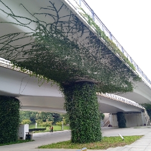 u惠云闪 