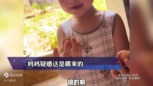 男孩摘了荔枝回家,妈妈疑惑这是哪来的“没想到家里真有荔枝树”