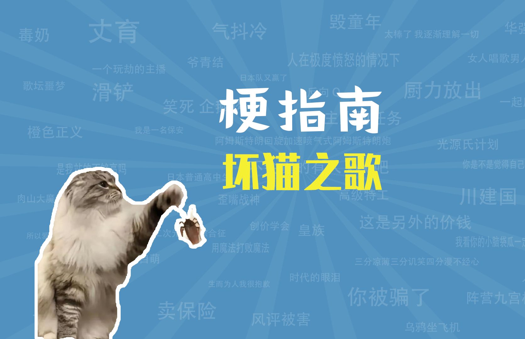 坏猫之歌是什么梗【梗指南】