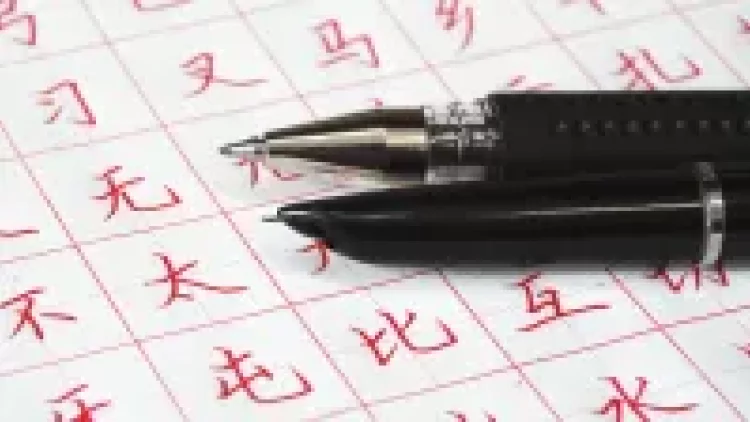 练字到底用哪种笔好?高能讲解,基础款钢笔和中性笔的区别!